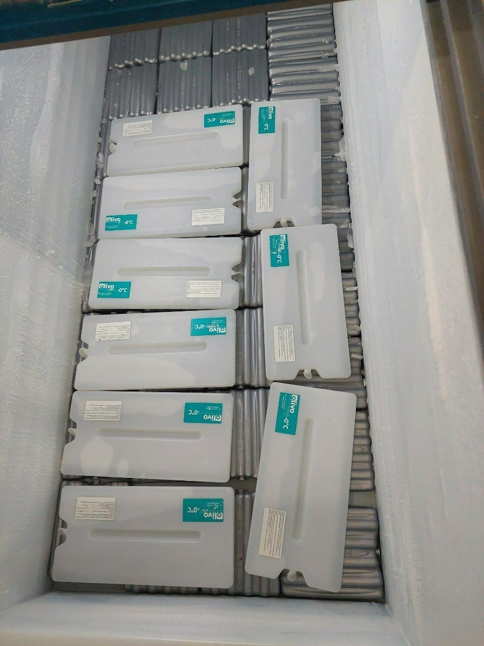 Enhancing Sustainability and Quality Assurance: A Case Study with Olivo ...