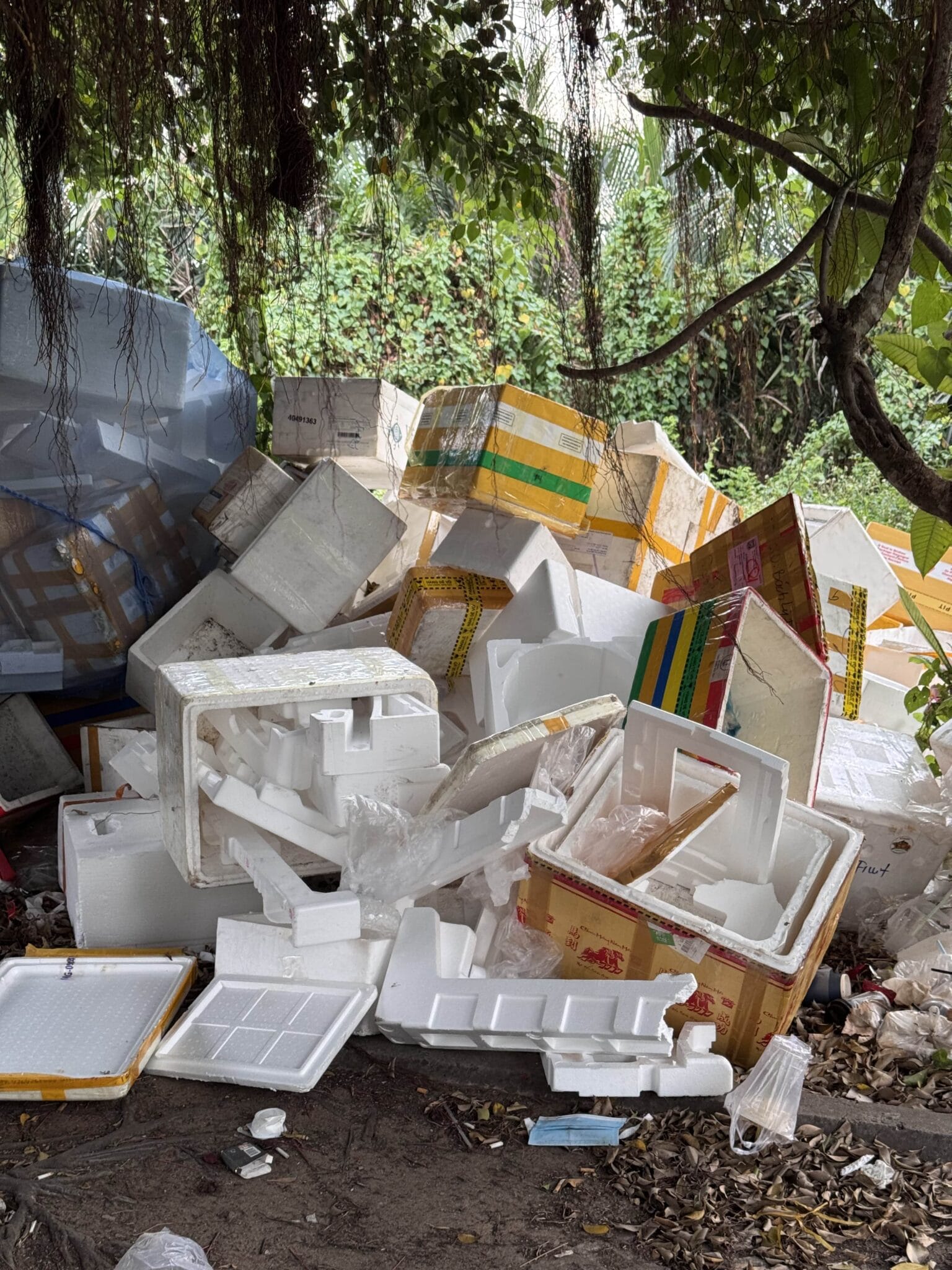 Addressing the Environmental Impact of Traditional Foam Boxes: Why ...